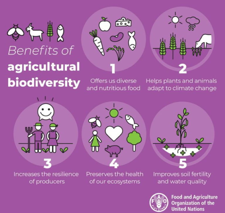 Our health depends on nature's health – on May 22 world marks its ...