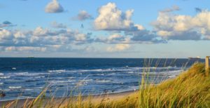 Sweden opts against subsea interconnector with Germany over power price ...