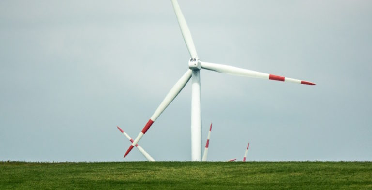 Europe awards record wind power capacity in 2024 auctions