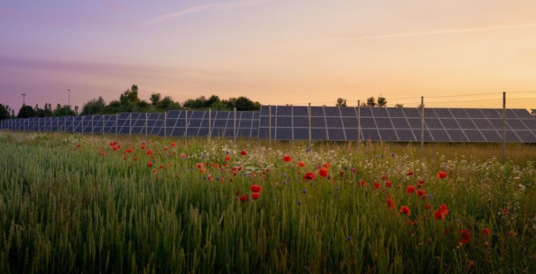 Foreign renewable energy investors remain committed to Romania as large ...