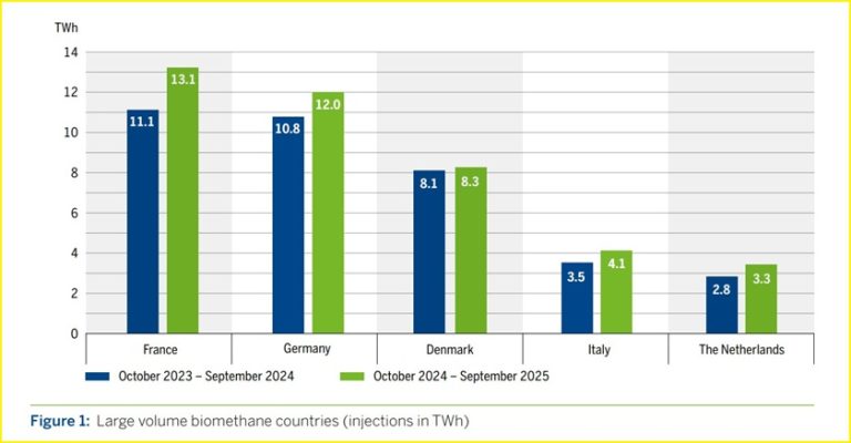 ENTSOG: Renewable gas injections in EU grids increase 12%